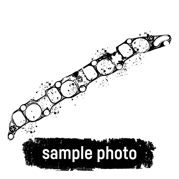 Gasket, intake manifold - 296.890 ELRING - 14035-HG00C, 2700960180 ...