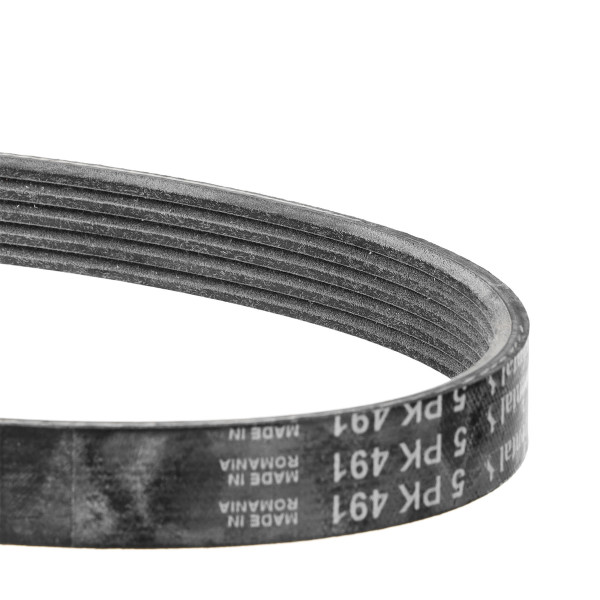 V-ribbed Belt - 5PK491 CONTINENTAL CTAM - 03C145933A, 1987945731, 29 ...