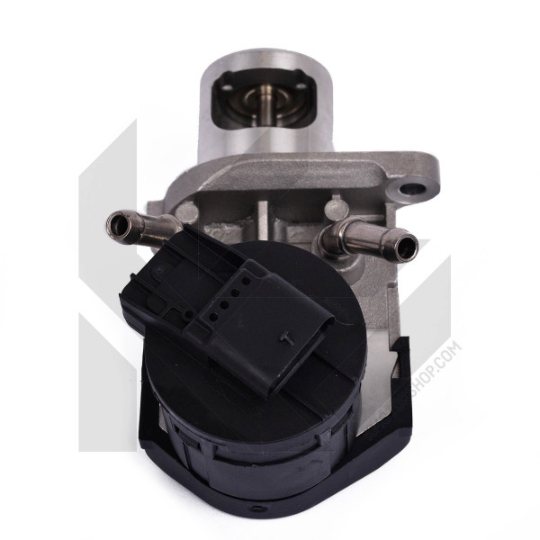 EGR Valve - 7.10334.07.0 PIERBURG - 11717805447, 11717810871 ...