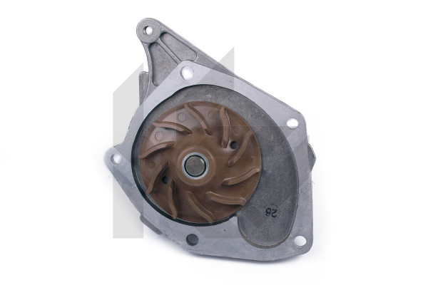 Water pump - 7701478031 ORIGINAL | K MOTORSHOP s.r.o.