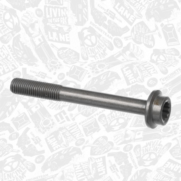 Screw Set, gears (timing chain) - BS0056 ET ENGINETEAM - N90256202 ...