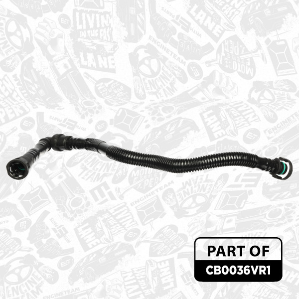 Valve, crankcase ventilation - CB0036VR1 ET ENGINETEAM - 11617516007 ...