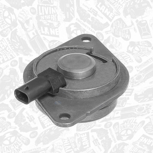 Central Magnet, camshaft adjustment - CV0051 ET ENGINETEAM - 1235022 ...