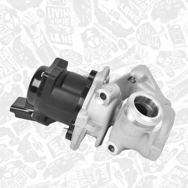 EGR Valve - ED0101 ET ENGINETEAM - 11717804950, 1338675, 1618NR | K ...