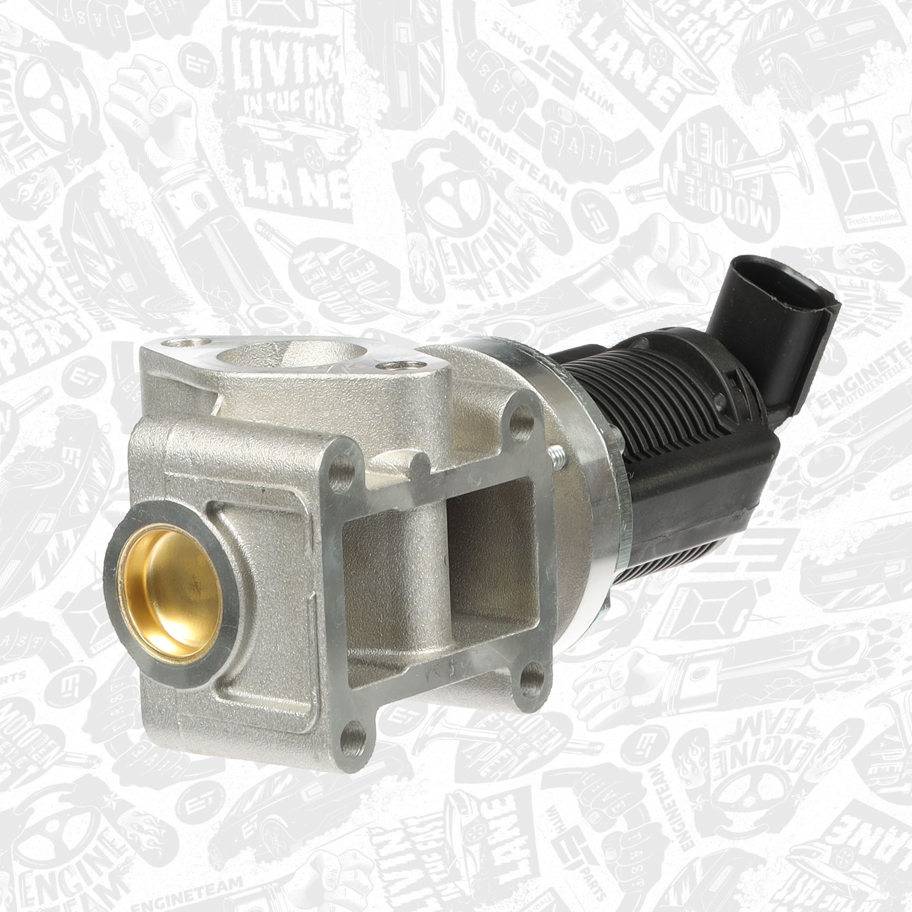 EGR Valve - ED0144 ET ENGINETEAM - 46823850, 55204250, 55194735 | K ...