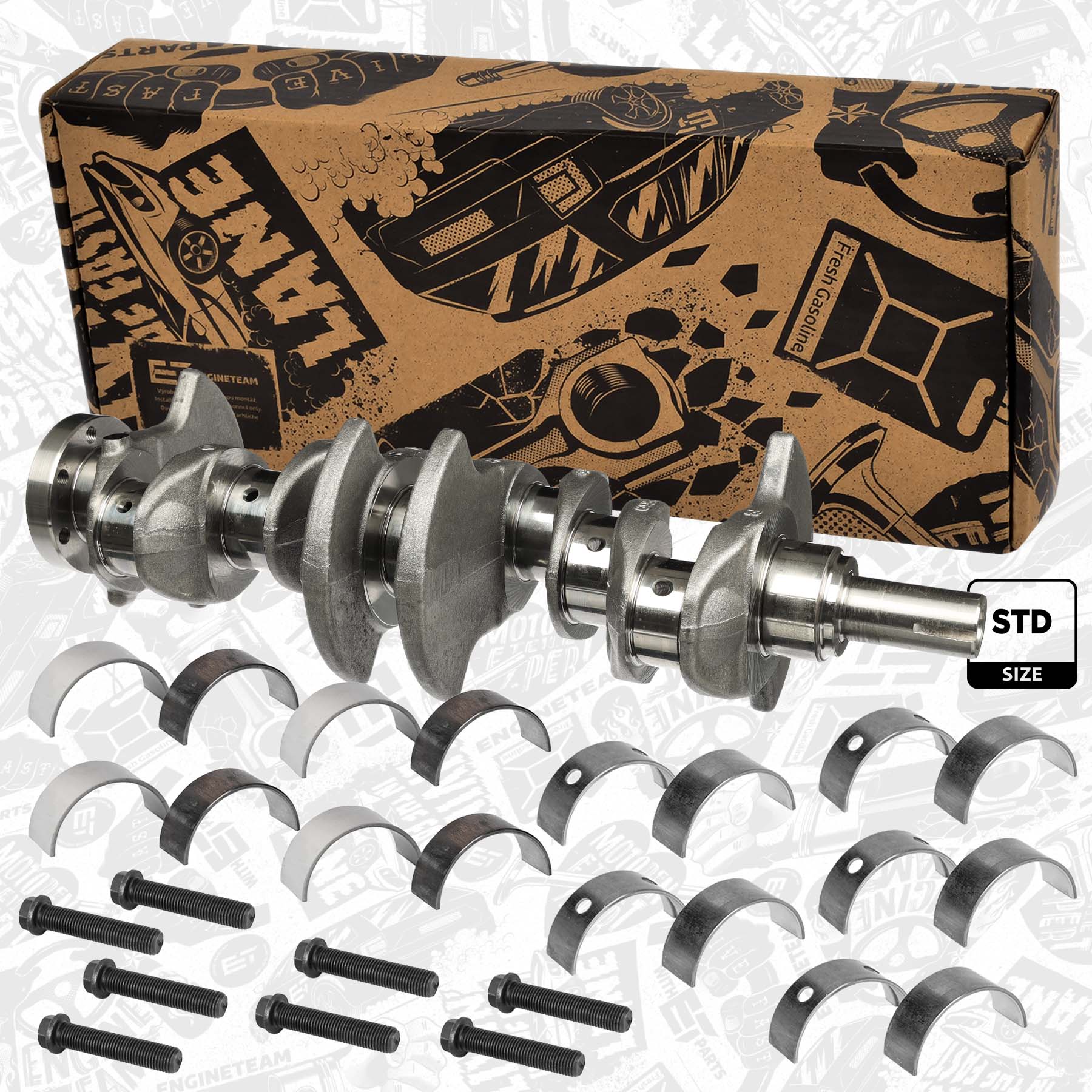 Crankshaft kit - HK0036VR1 ET ENGINETEAM - 1220100QAX, 8200019804 ...