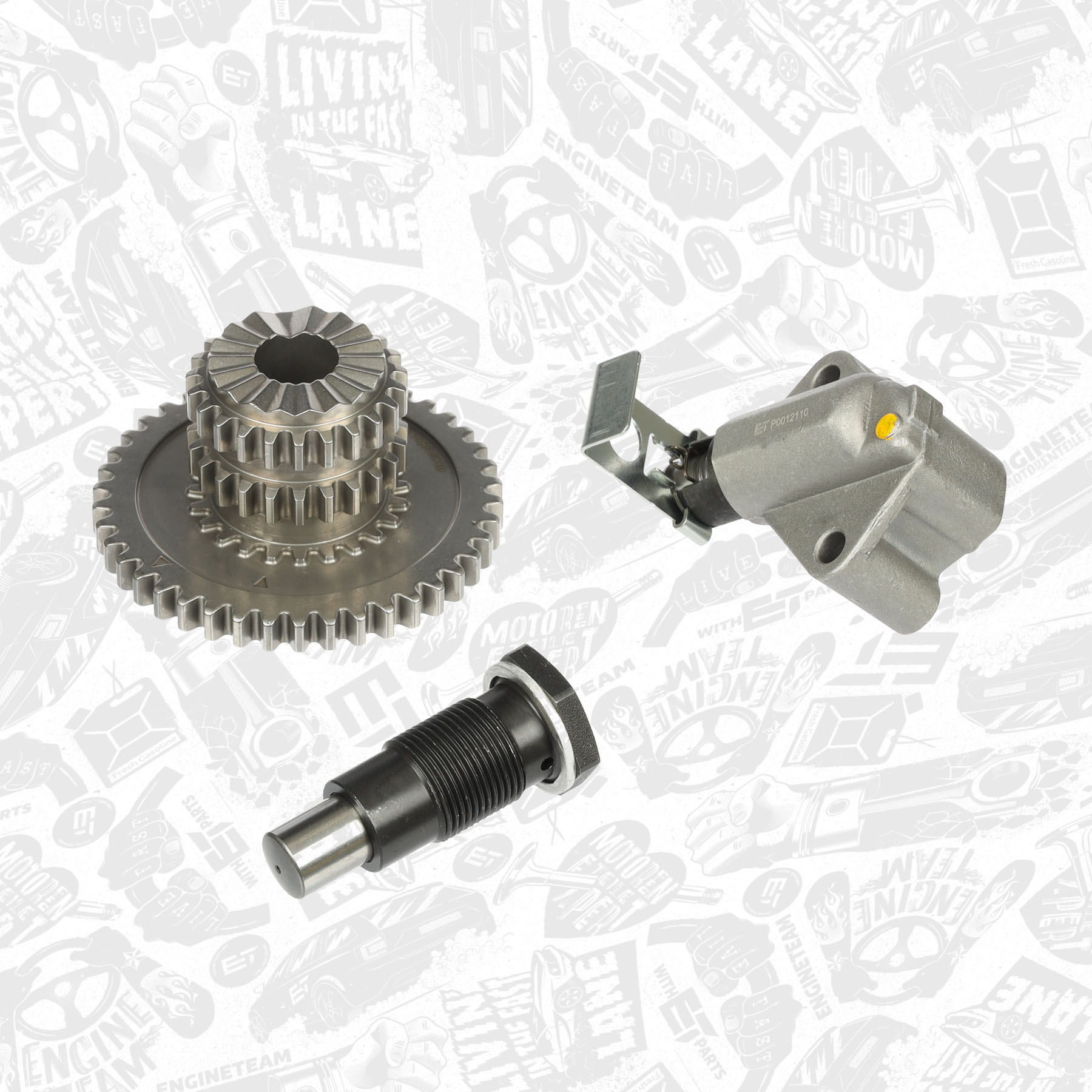 Timing Chain Kit - RS0043 ET ENGINETEAM - 06H109158, 06H109158J ...