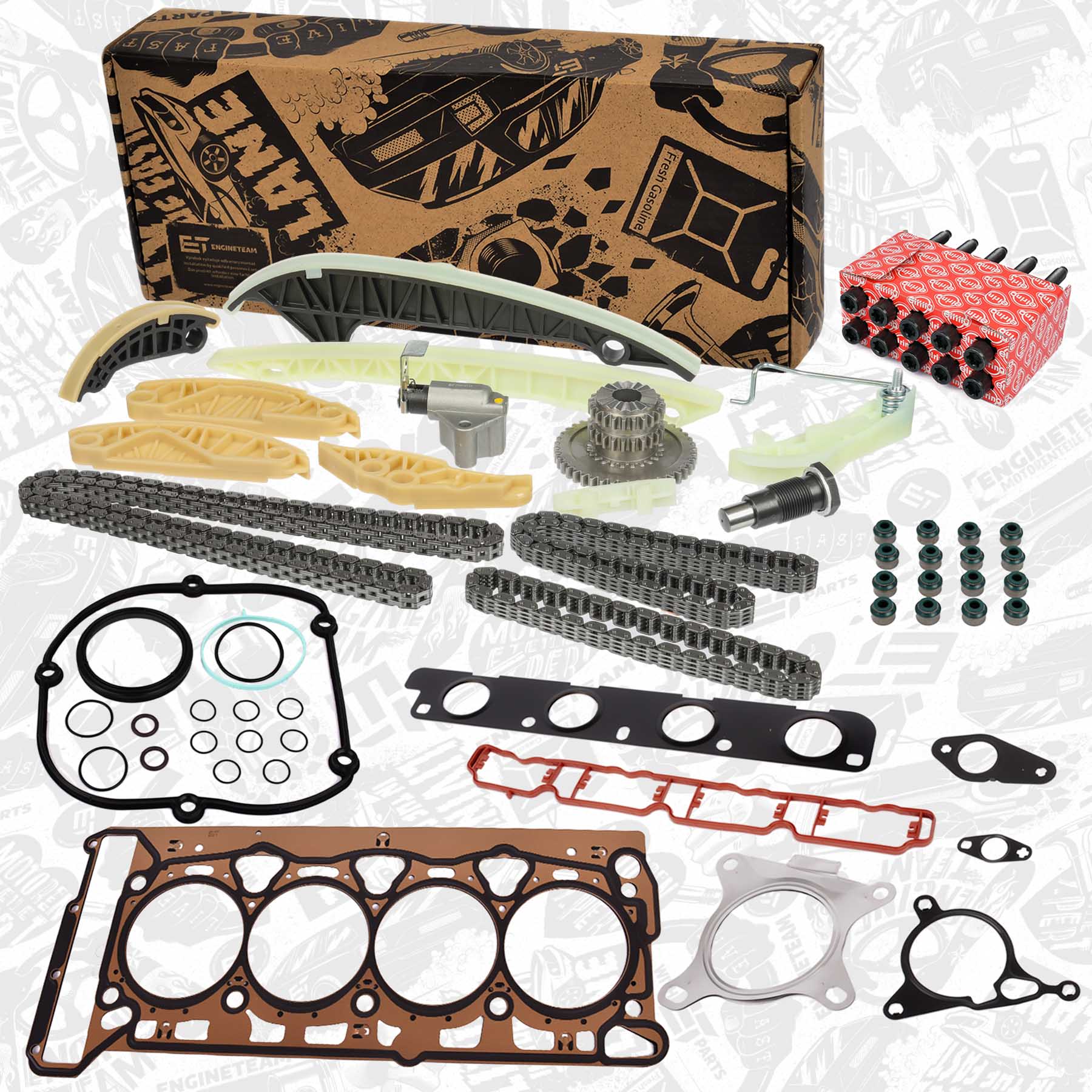 Timing Chain Kit - RS0043VR1 ET ENGINETEAM - 06H109158, 06H109158J ...