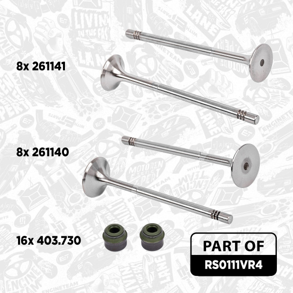 Timing Chain Kit - RS0111VR4 ET ENGINETEAM - 6510520001, A6510520100 ...