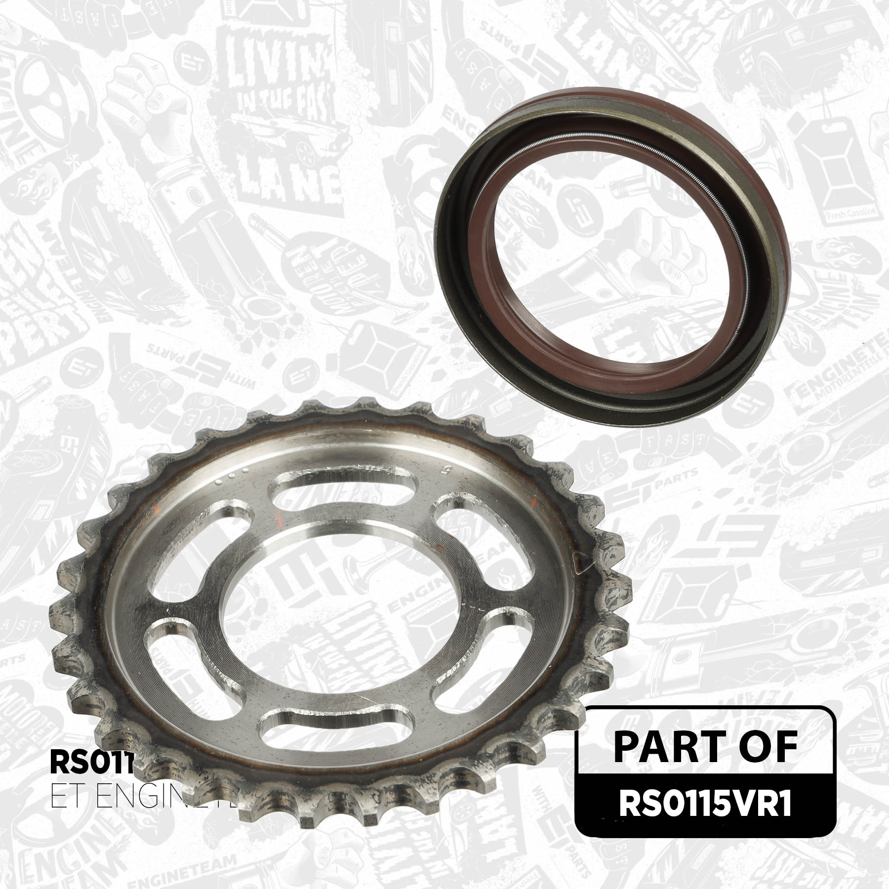 Timing Chain Kit - RS0115VR1 ET ENGINETEAM - 11318506869, 11312249851 ...