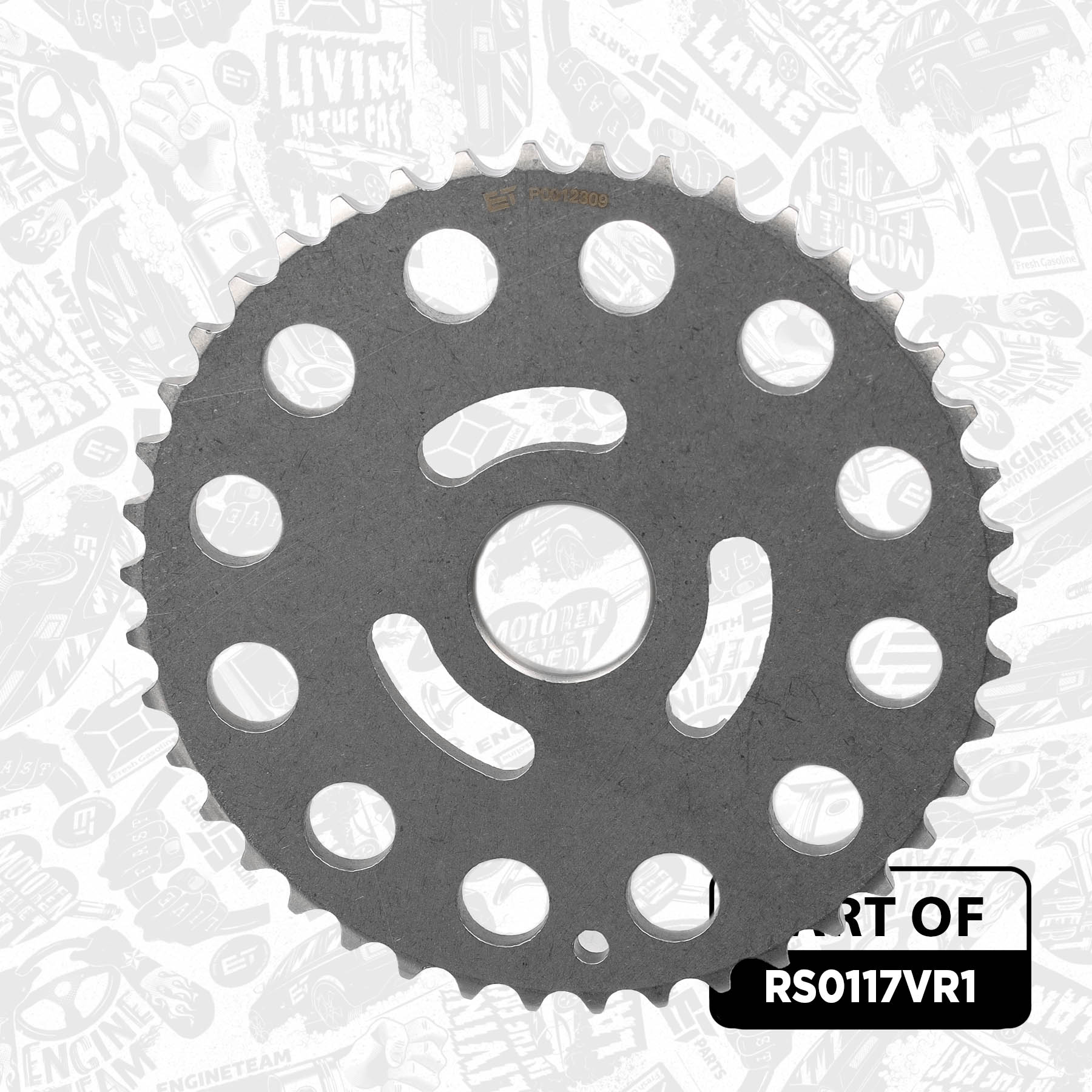 Timing Chain Kit - RS0117VR1 ET ENGINETEAM - 130C1-8929R, 6000616580 ...