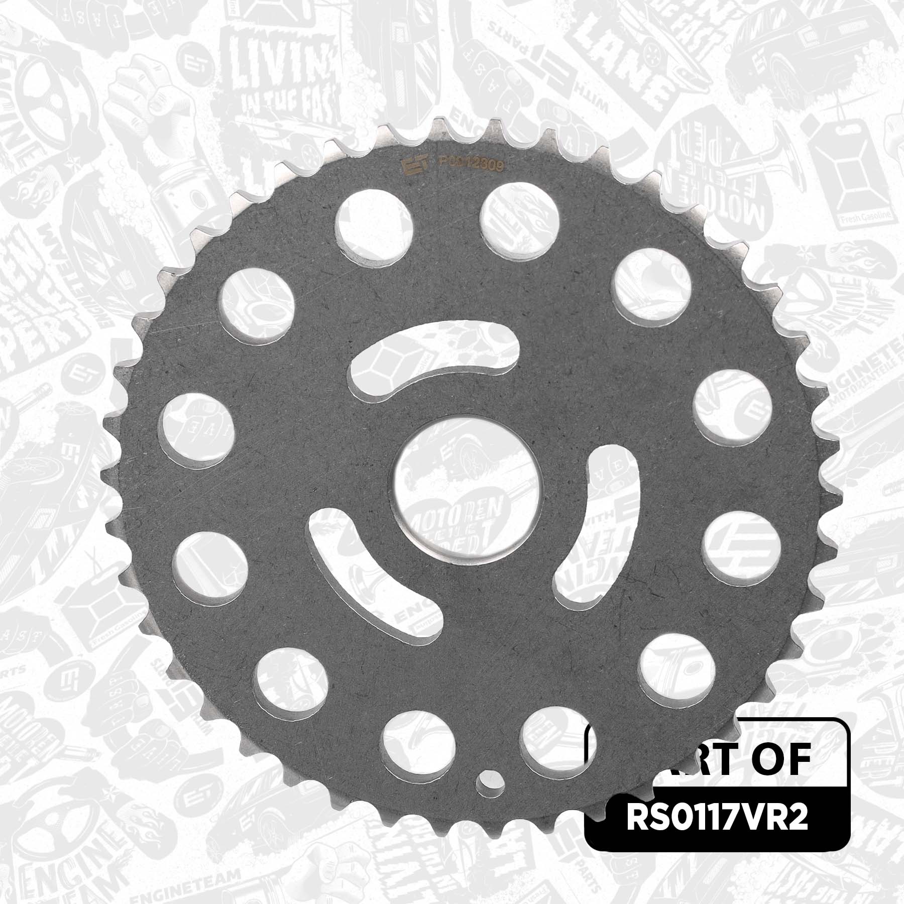 Timing Chain Kit - RS0117VR2 ET ENGINETEAM - 10101-00Q1D, 130C1-8929R ...