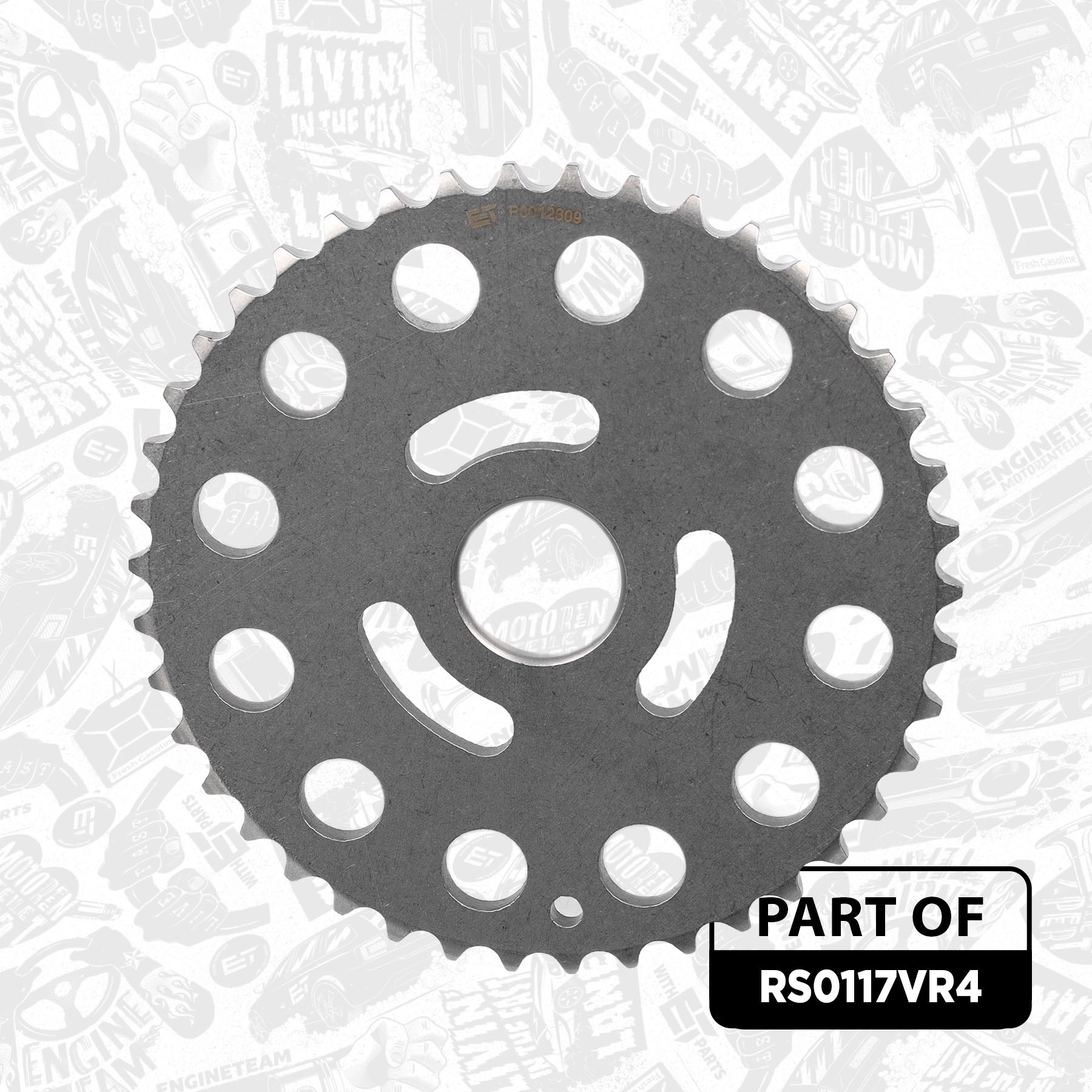Timing Chain Kit - RS0117VR4 ET ENGINETEAM - 130C1-8929R, 13021-0111R ...