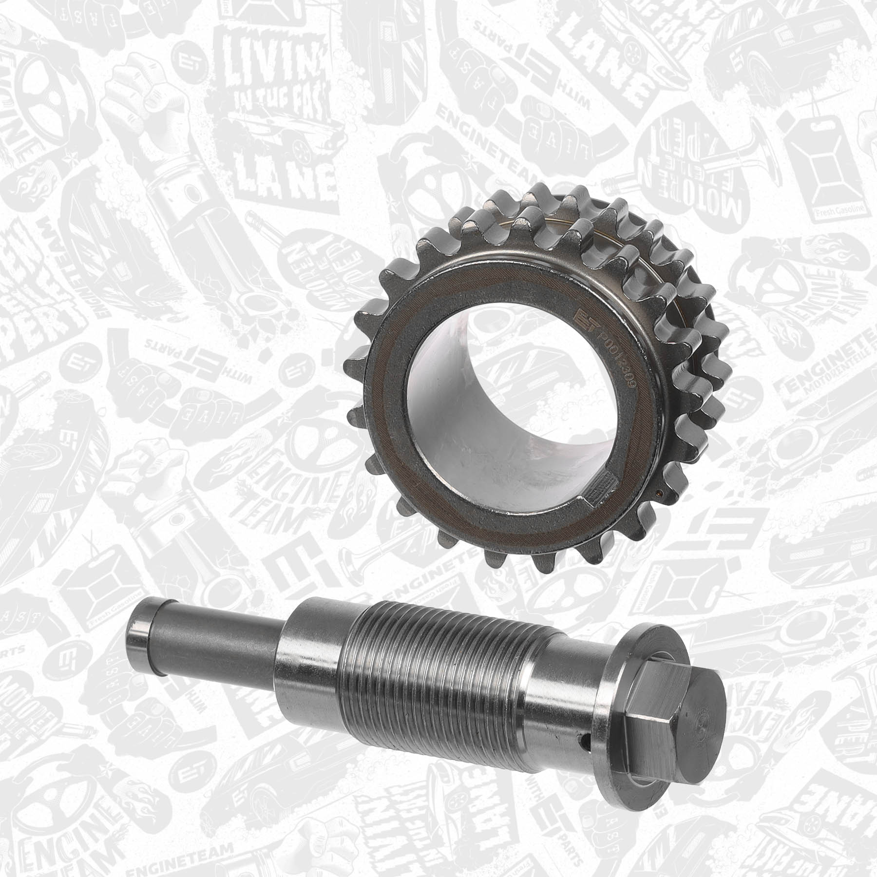 Timing Chain Kit - RS0119 ET ENGINETEAM - 0009933978, A001989892010 ...