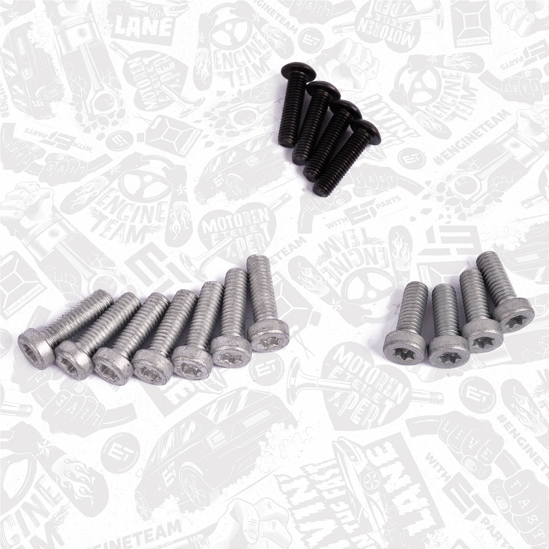 Repair Set, vacuum pump (braking system) - TM0024 ET ENGINETEAM ...