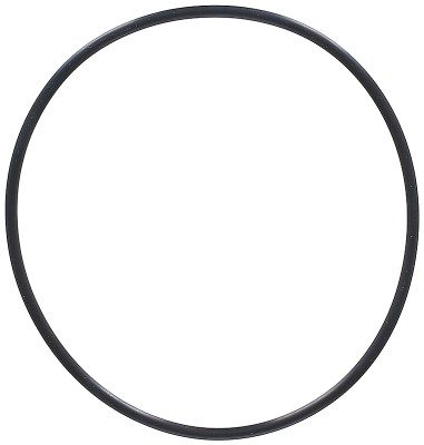 Seal Ring - 794.570 ELRING - 0299977045, 51.96501-0558, 4709970545 | K ...