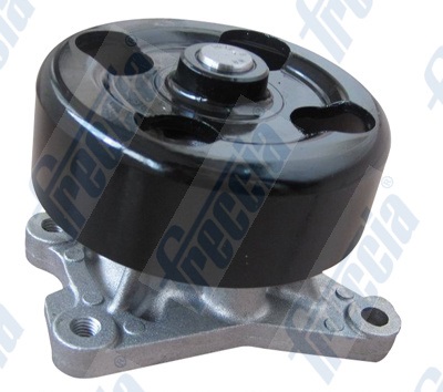 Water Pump, engine cooling - WP0557 FRECCIA - 210101988R, 210102773R ...