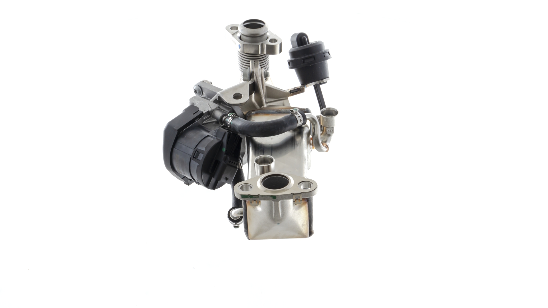Cooler, exhaust gas recirculation - CE10000P MAHLE - 11717805446, 7805446, 050101N | K MOTORSHOP ...