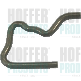 Retaining Spring - HOF8029213 HOFFER - 198169, 2S6Q9G719AA, 9654862780 ...